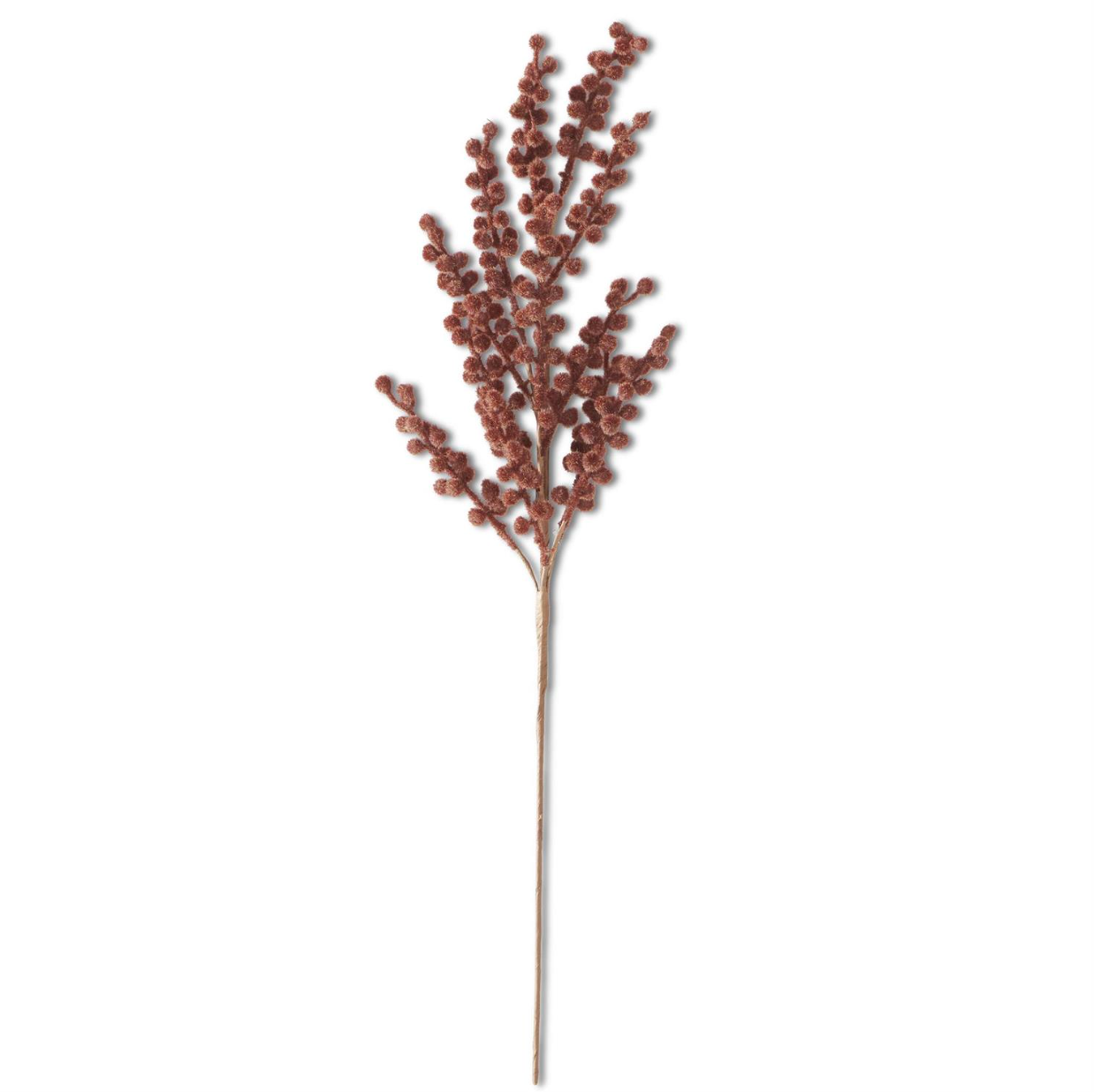 Cranberry Fall Stem – Leyland Blue